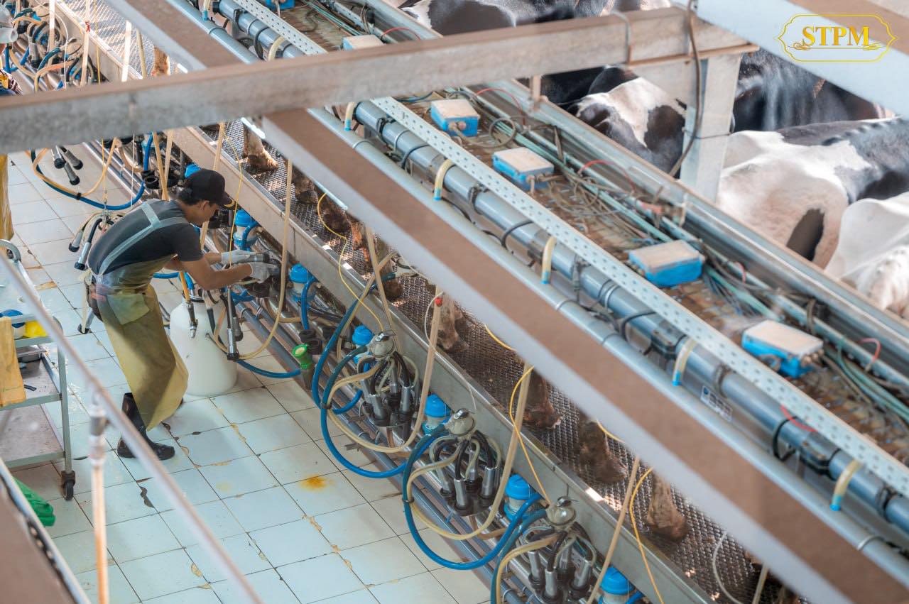 Kirisu Farm Inaugurated: Cambodia's First National Commercial High-Tech ...