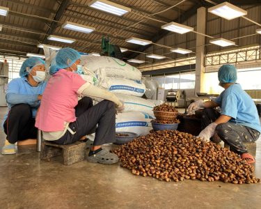 Kirisu Farm Inaugurated: Cambodia's First National Commercial High-Tech ...